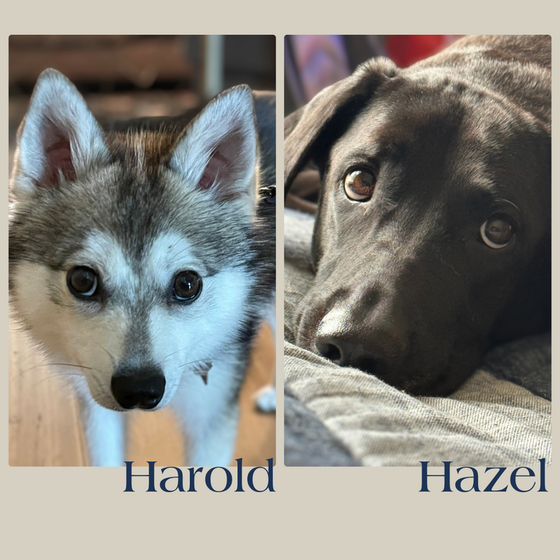 About Us - Learn More About Harold & Hazel